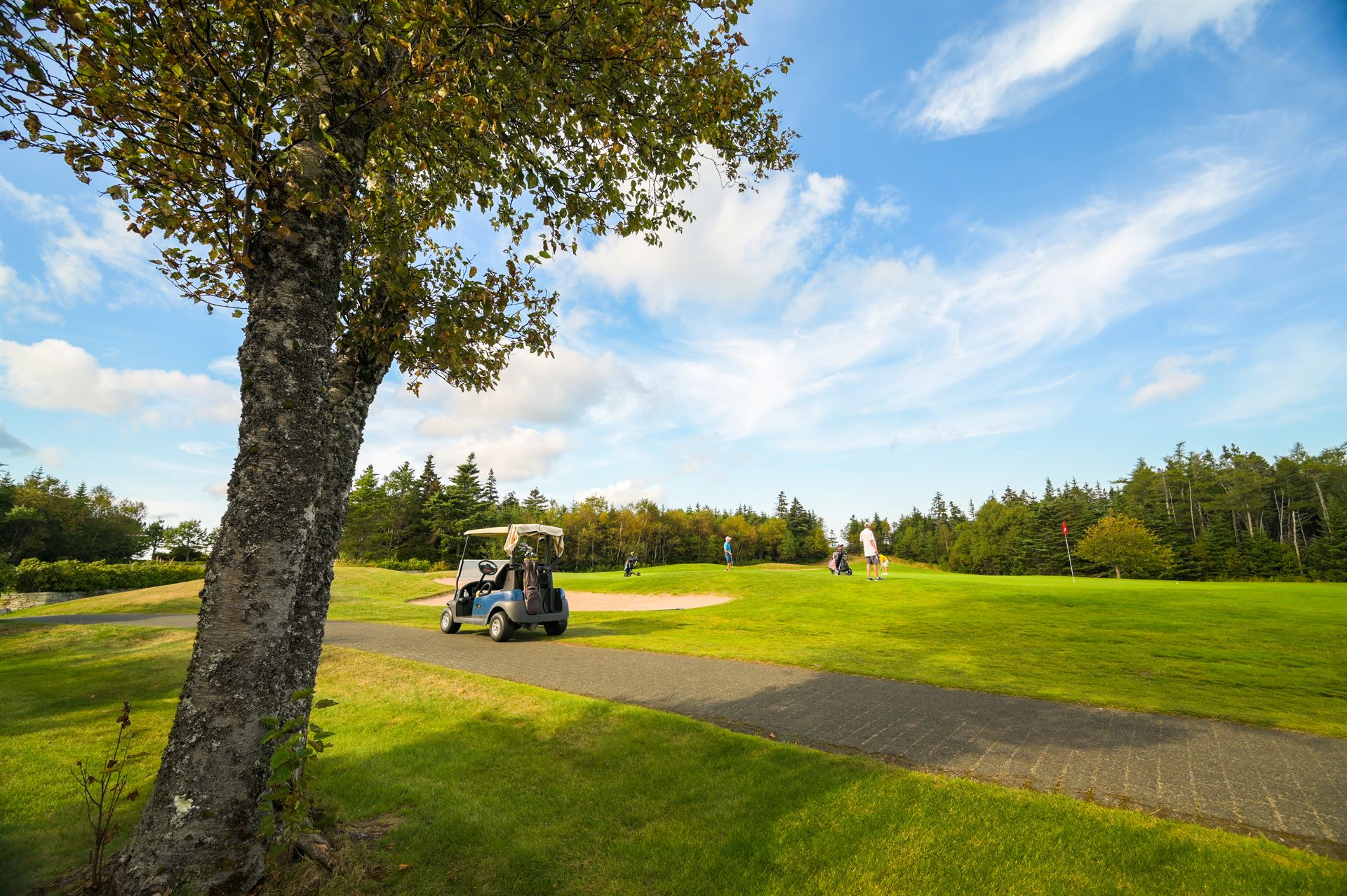 South Championship Course | Bally Haly Country Club