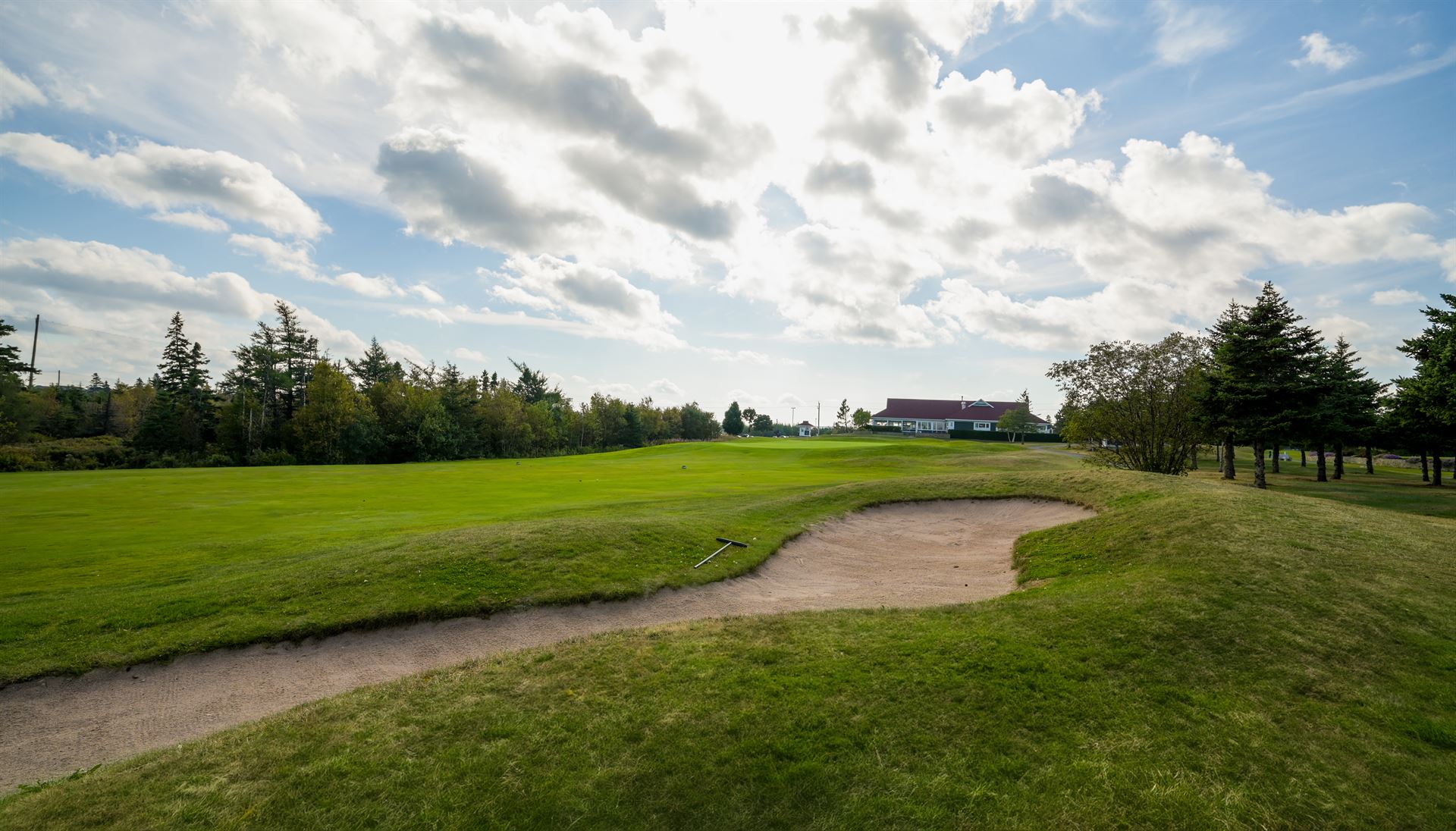 South Championship Course | Bally Haly Country Club