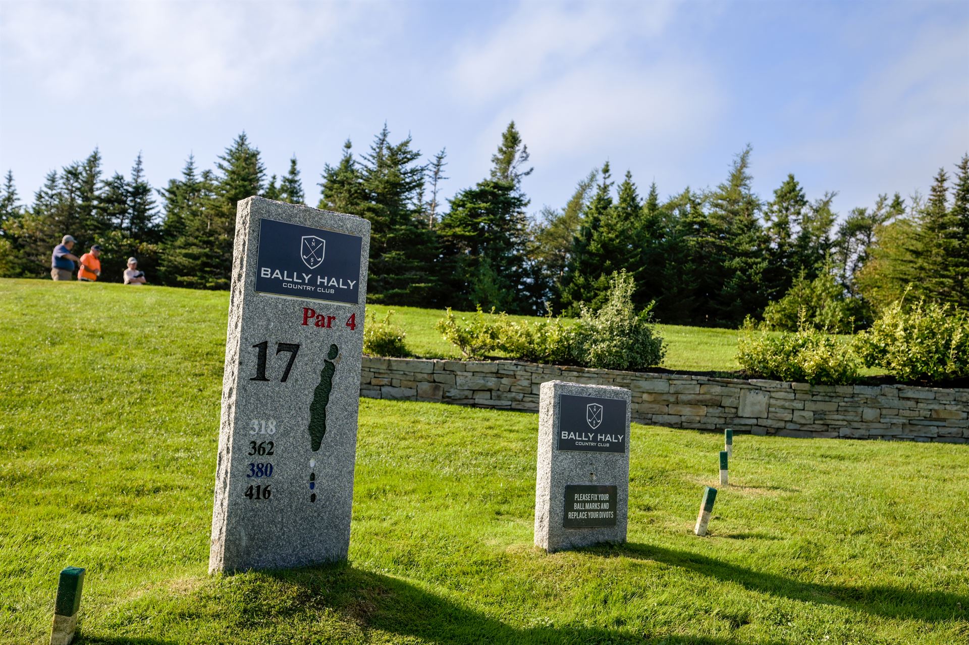 South Championship Course | Bally Haly Country Club