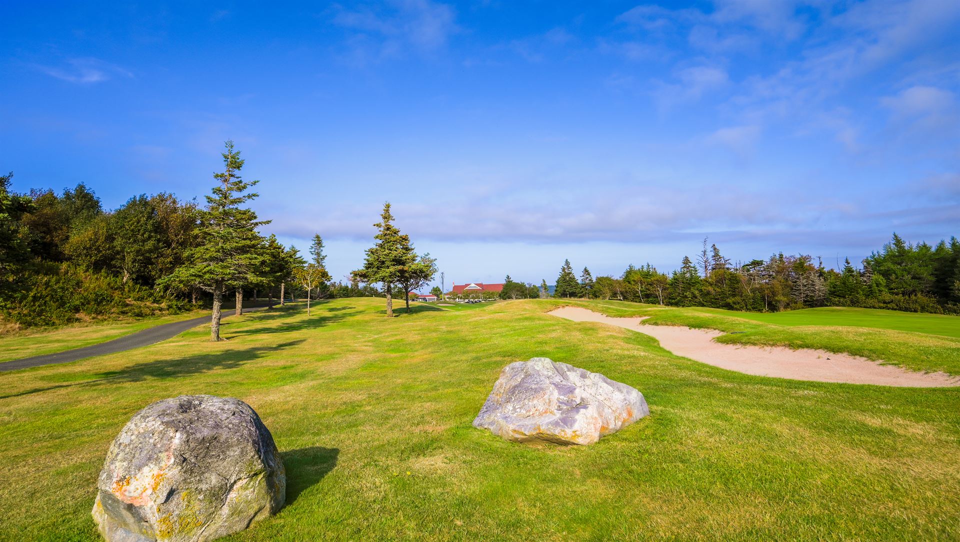 South Championship Course | Bally Haly Country Club