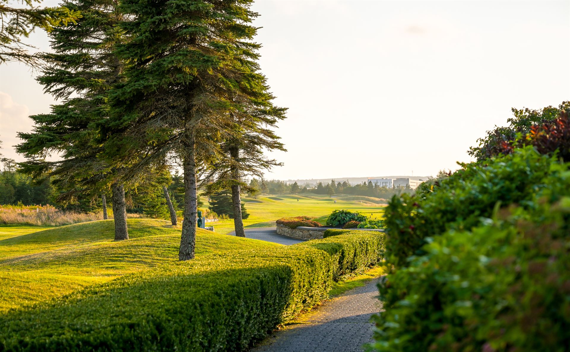 South Championship Course | Bally Haly Country Club